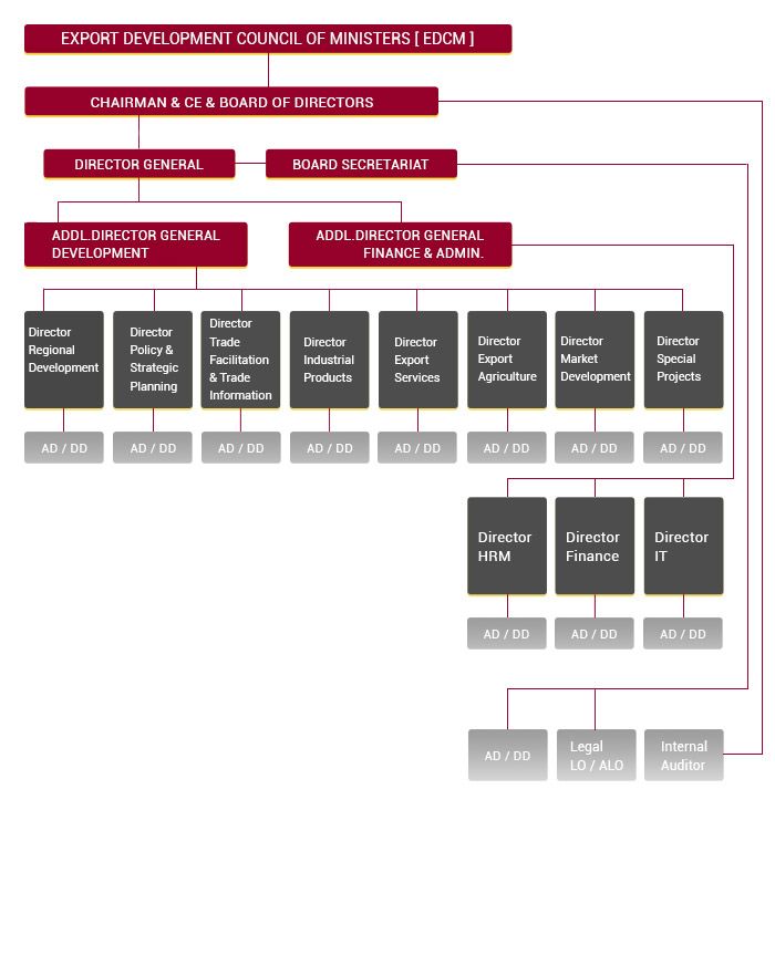 Organizational Structure|Sri Lanka Export Development Board|EDB Hierarchy