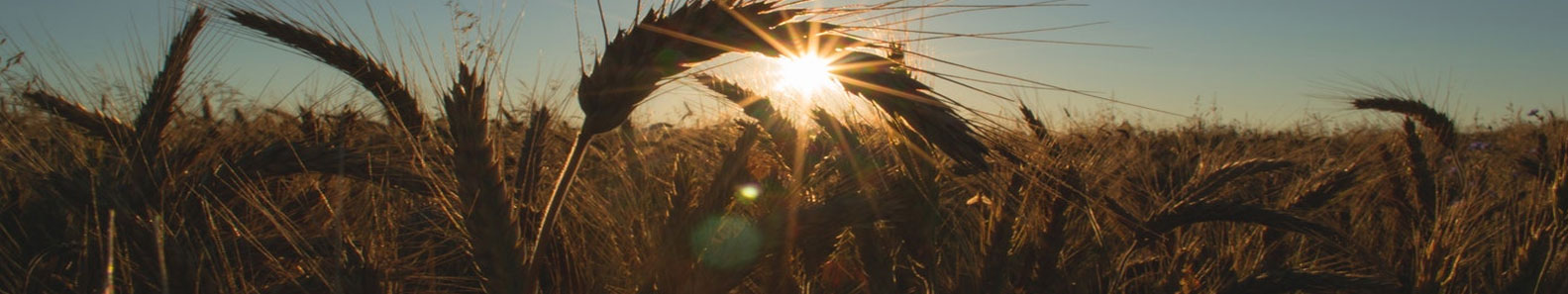 AUSSEE OATS MILLING PVT LTD