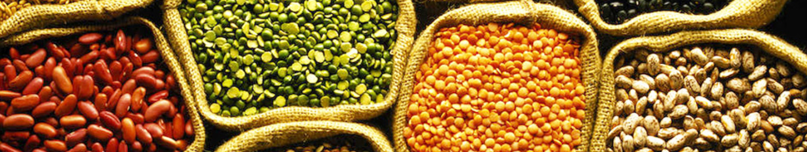 QUALITY SEED CO LTD - EDB Sri Lanka