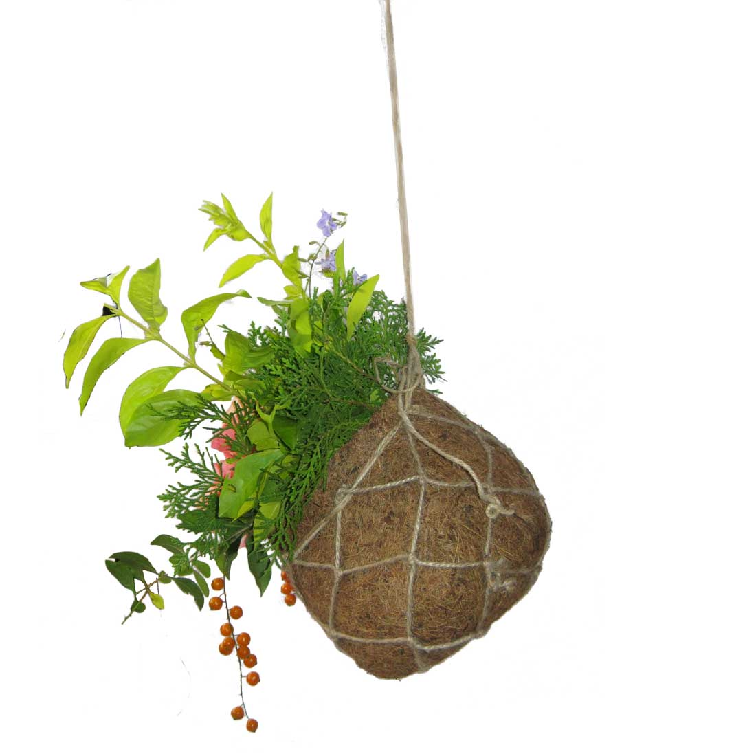 COCOTECH EXPORTS LANKA PVT LTD - EDB Sri Lanka