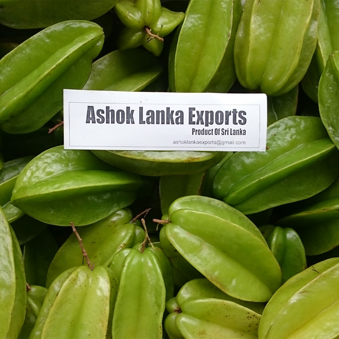 ASHOK LANKA EXPORTS - EDB Sri Lanka