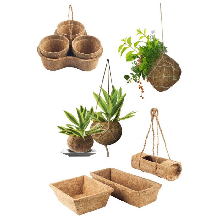 coir planters