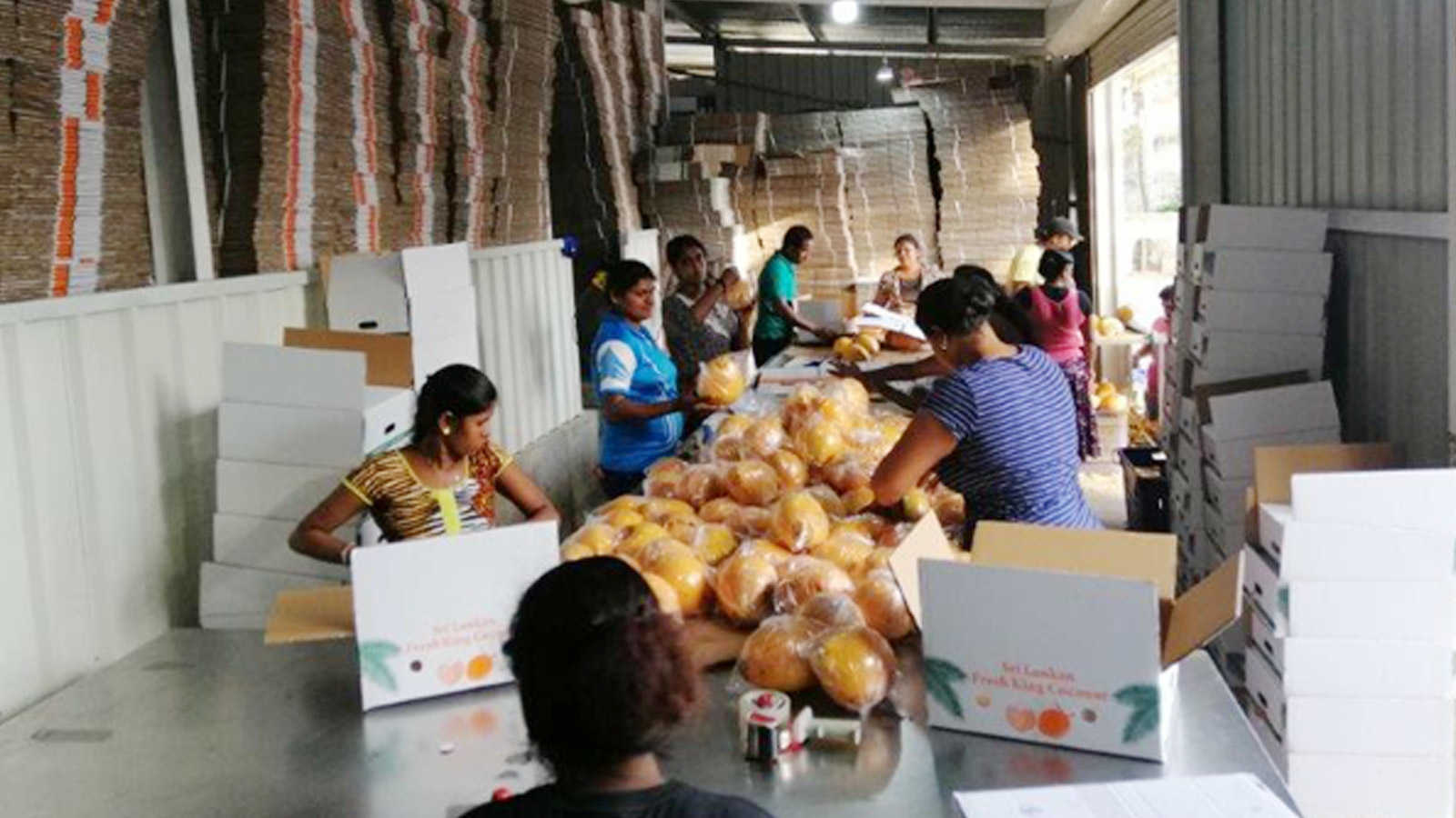 GLOBAL TRADING SERVICES - EDB Sri Lanka