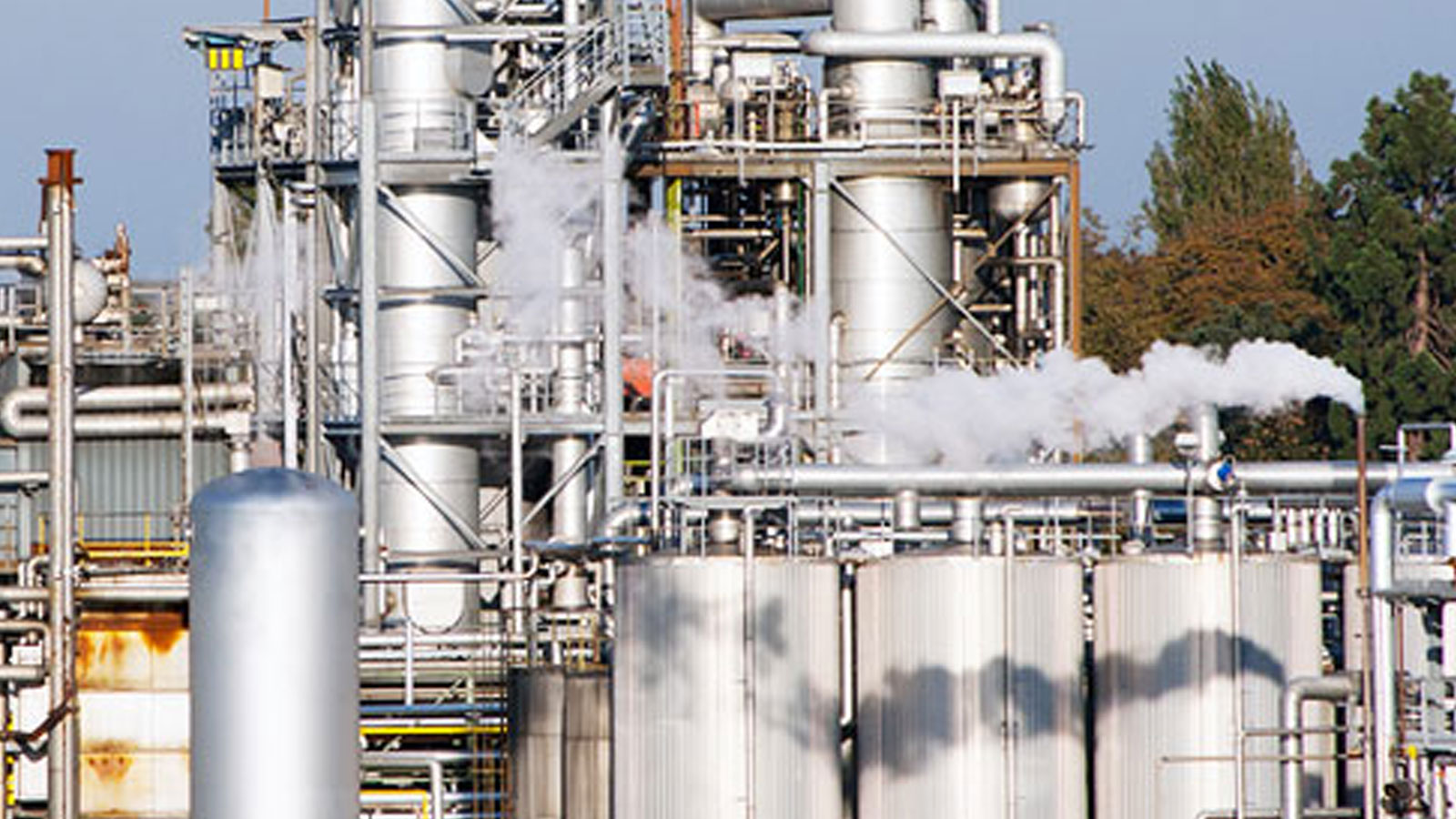 PURITAS PVT LTD - EDB Sri Lanka